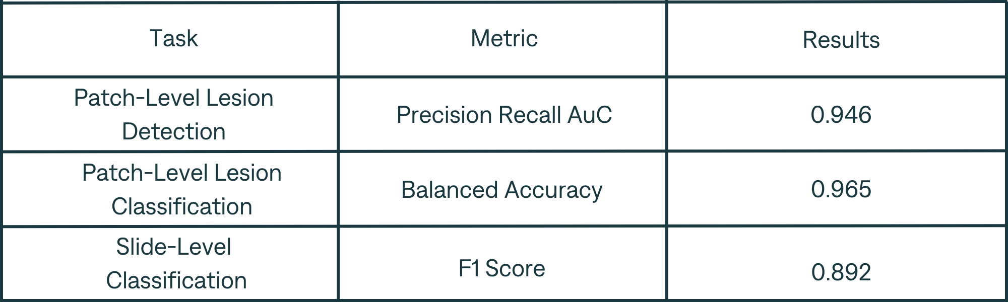 Automatic Detection of Skin Lesions – Primaa